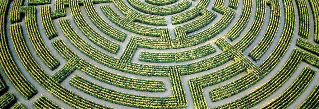 L'aventure dans les labyrinthes végétaux grandeur nature